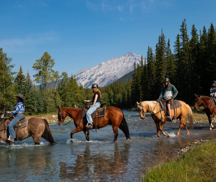 Horseback Riding in Banff: View All Rides | Banff Trail Riders