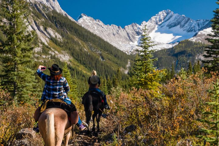Banff Horseback Rides | Banff Trail Riders | Official Website